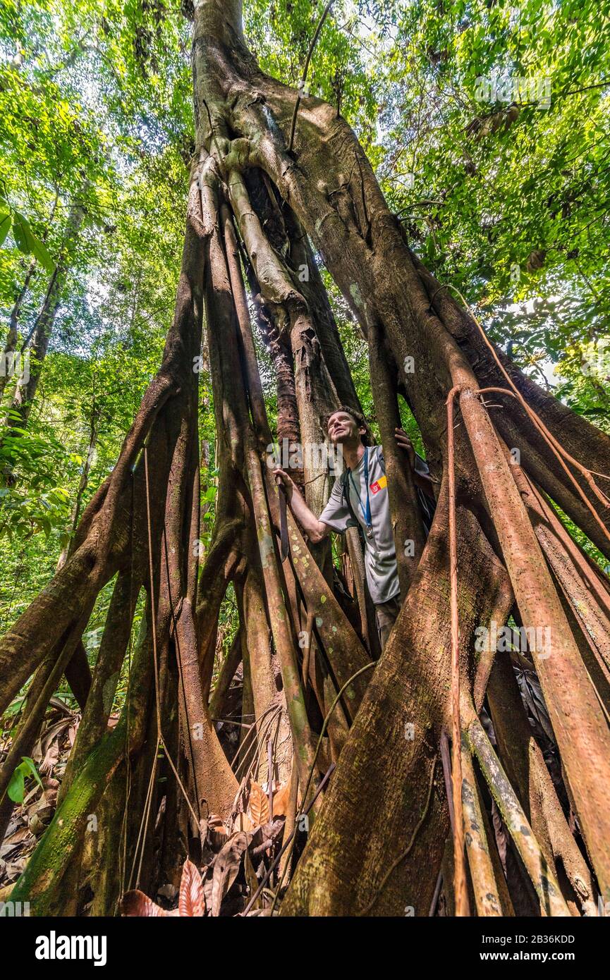 France, French Guiana, unexplored area on the border between the heart ...
