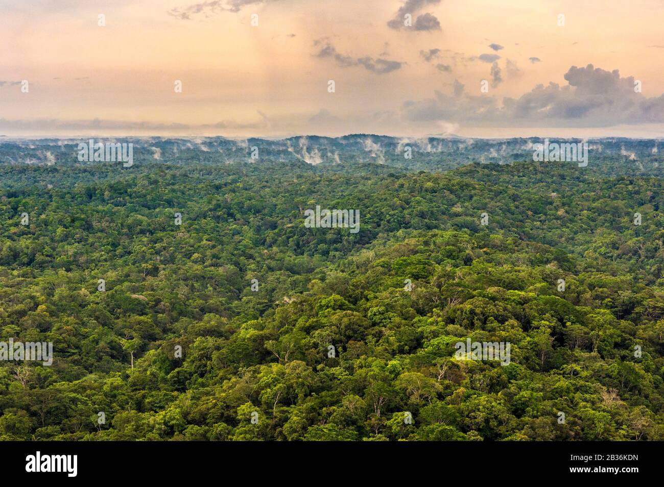 France, French Guiana, unexplored area on the border between the heart ...