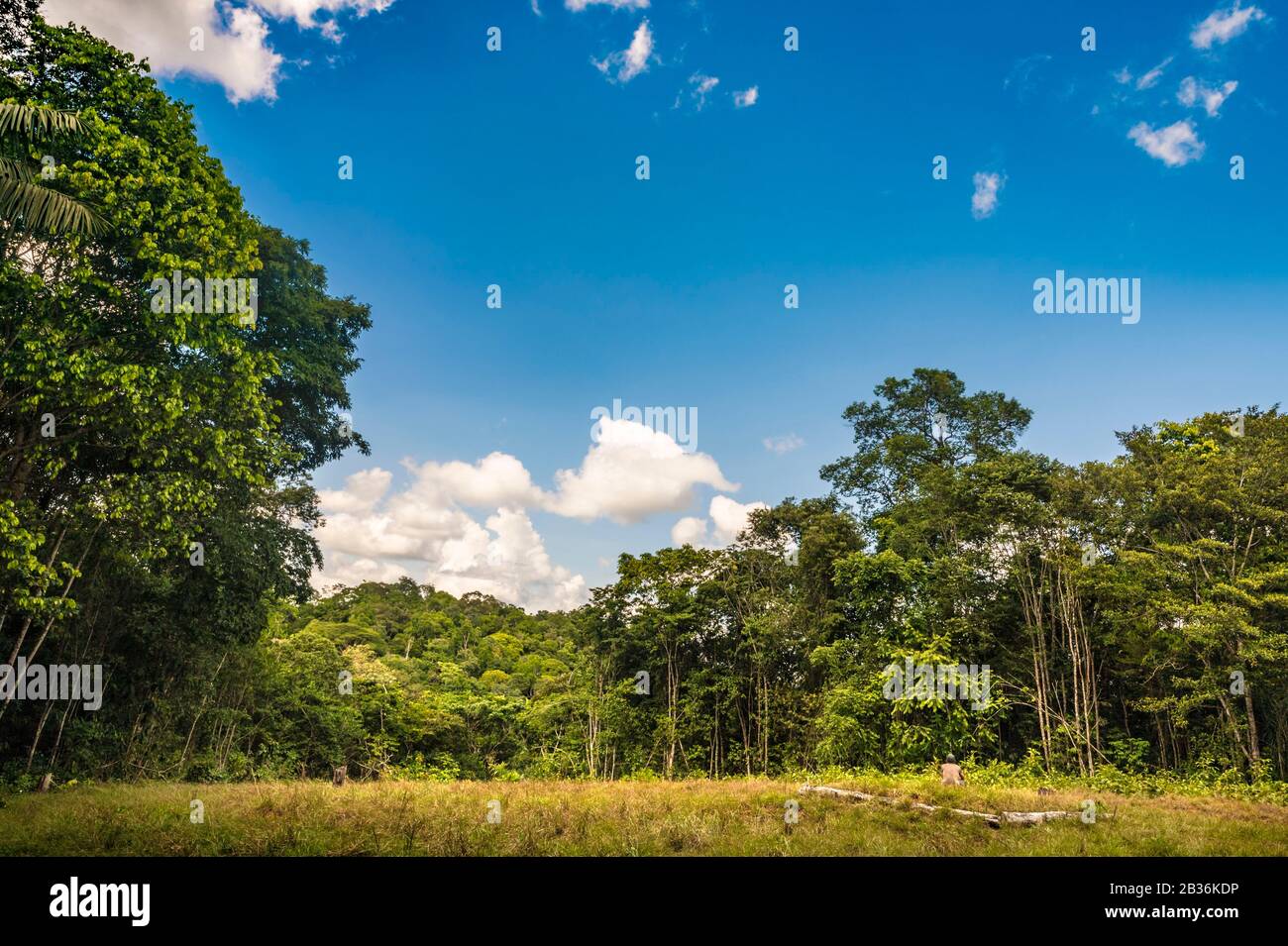 France, French Guiana, unexplored area on the border between the heart ...