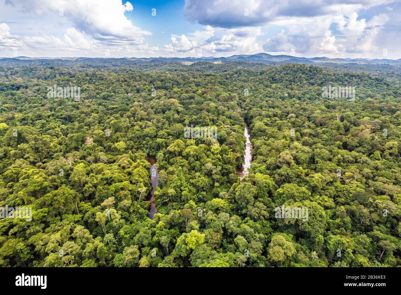 France, French Guiana, unexplored area on the border between the heart ...