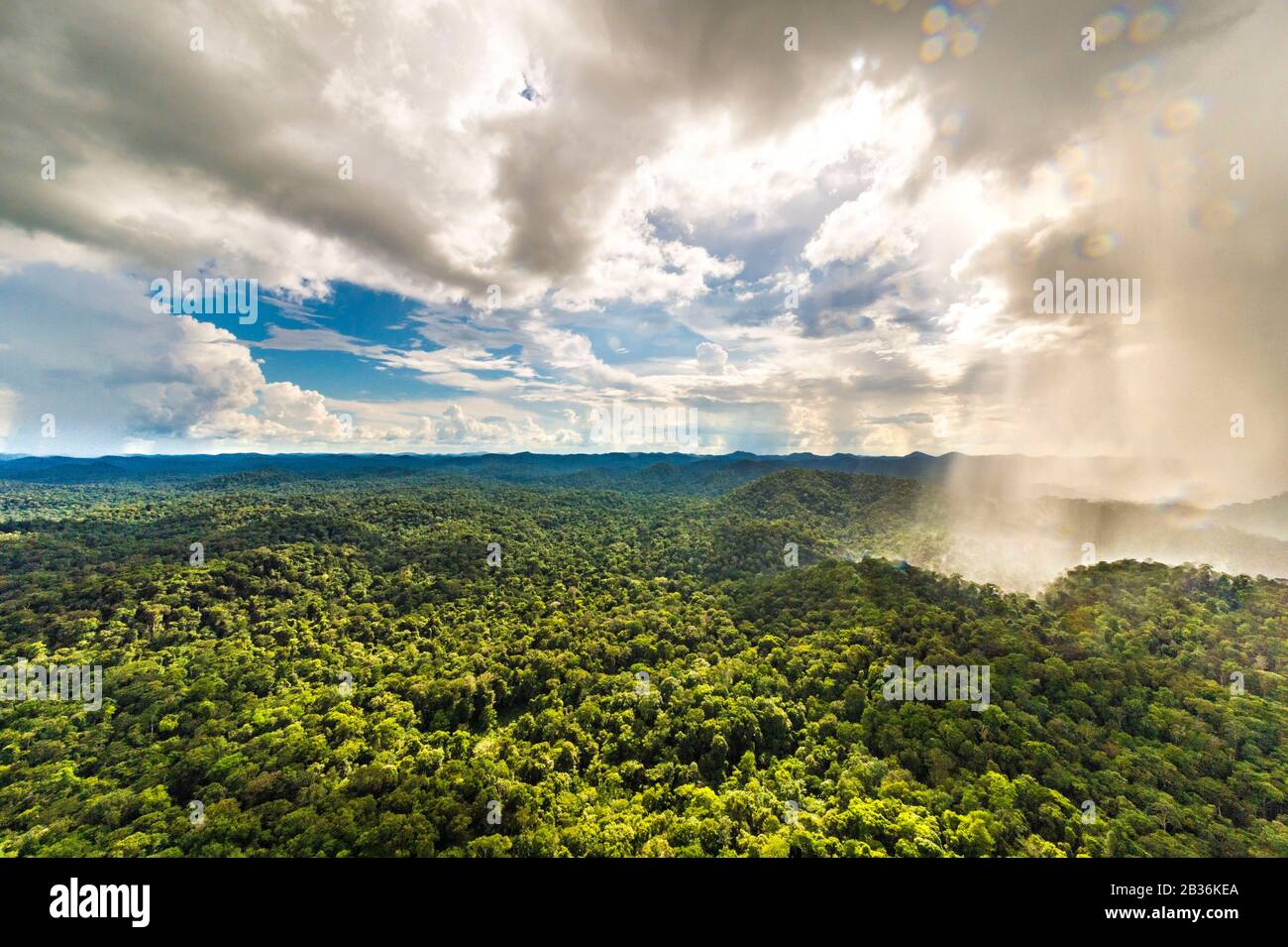 France, French Guiana, unexplored area on the border between the heart ...