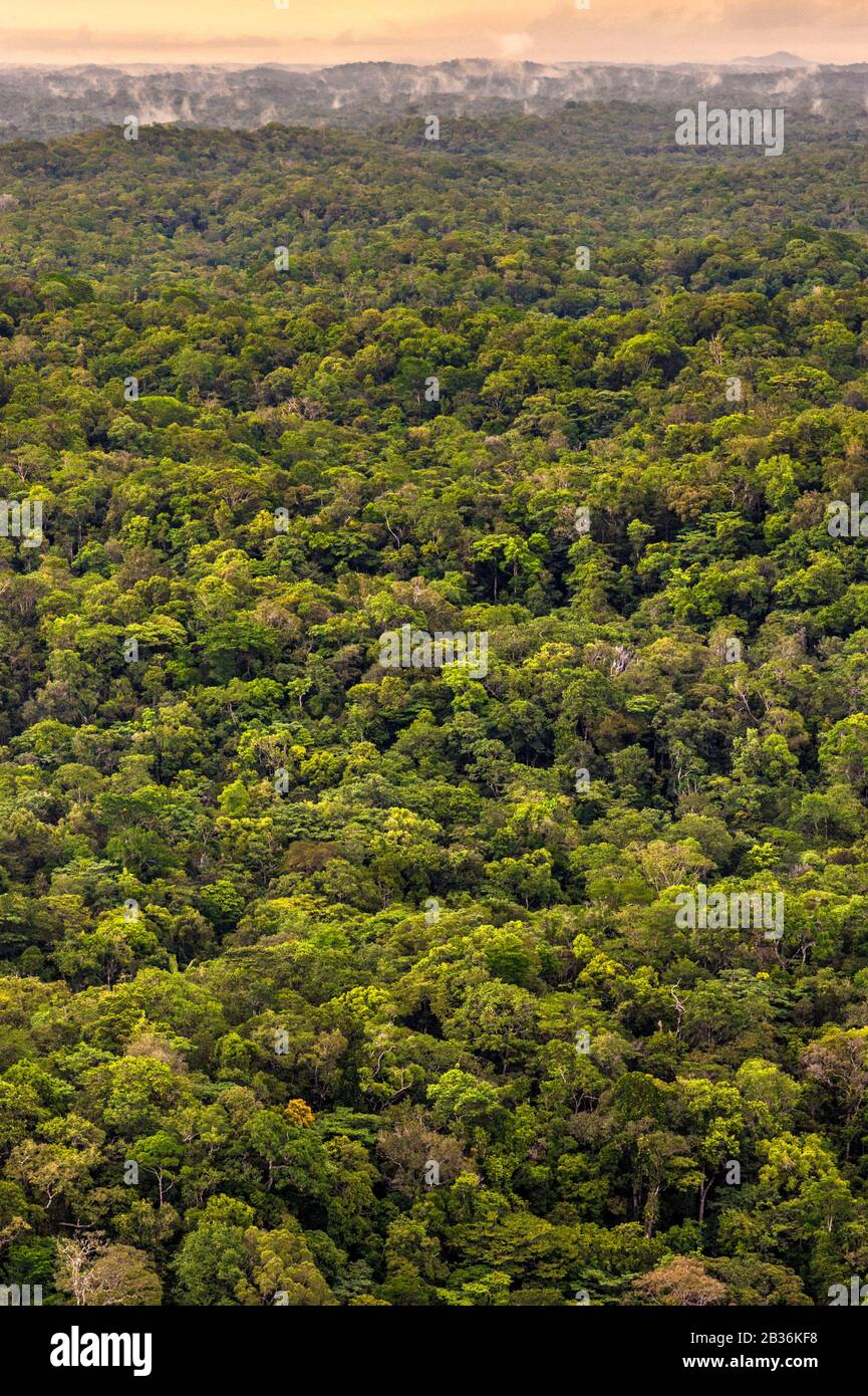 France, French Guiana, unexplored area on the border between the heart ...