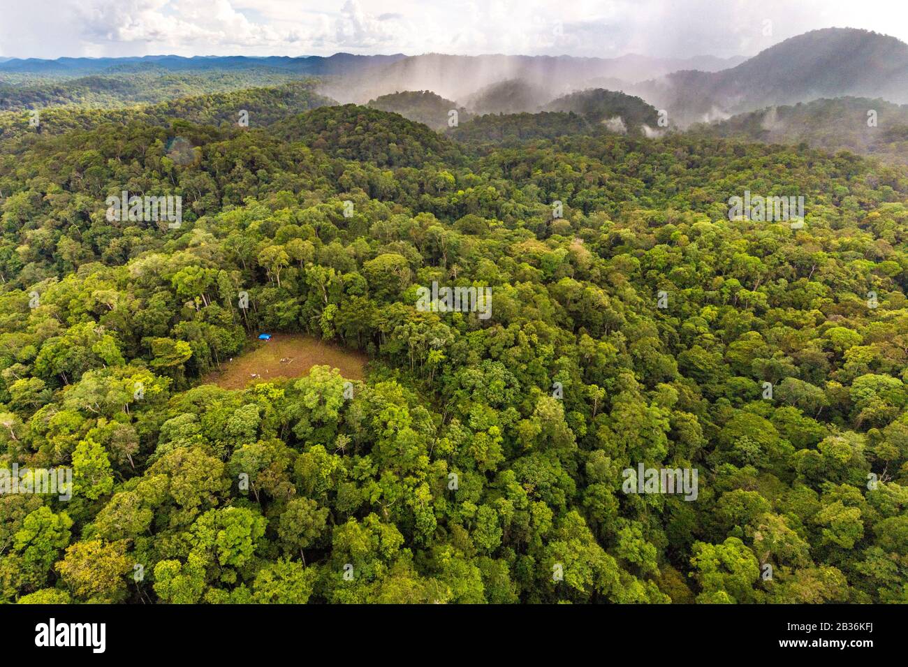 France, French Guiana, unexplored area on the border between the heart ...