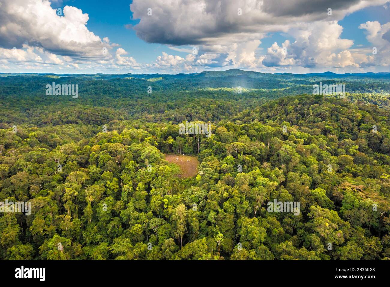 France, French Guiana, unexplored area on the border between the heart ...
