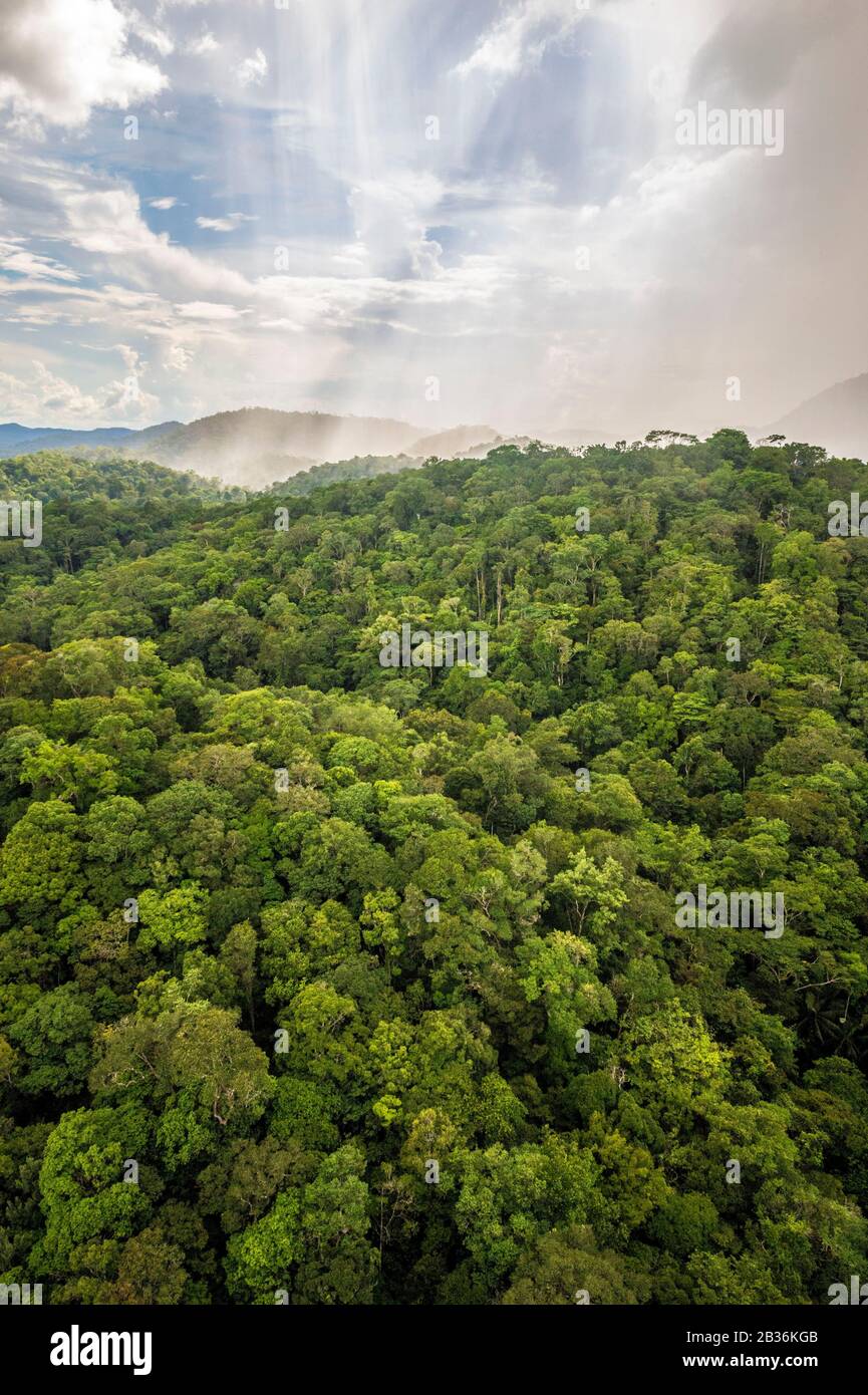 France, French Guiana, unexplored area on the border between the heart ...