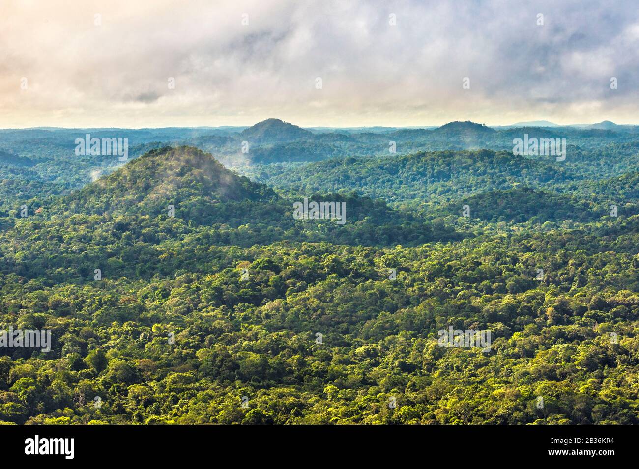 France, French Guiana, unexplored area on the border between the heart ...