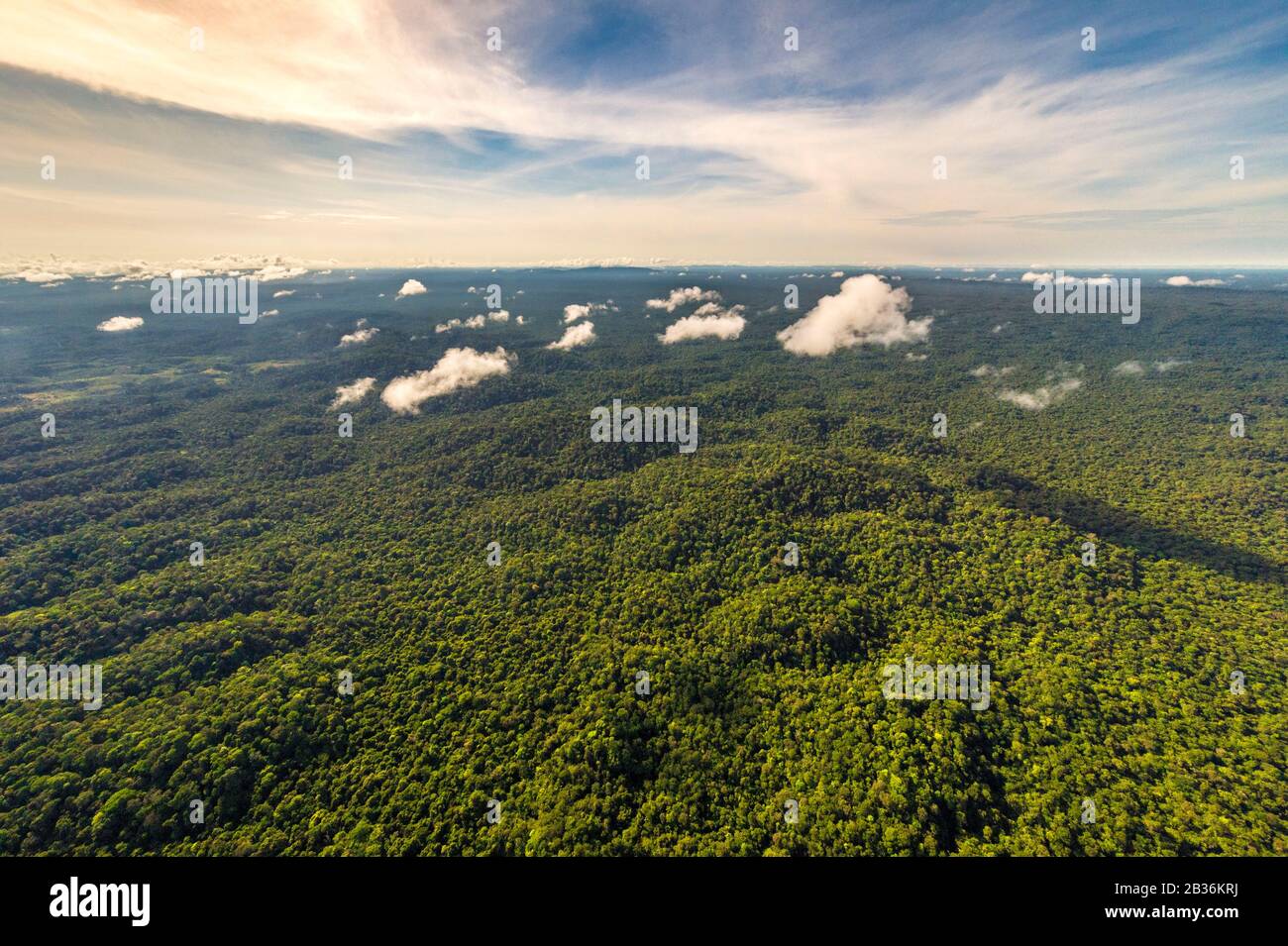 French guiana team hi-res stock photography and images - Alamy