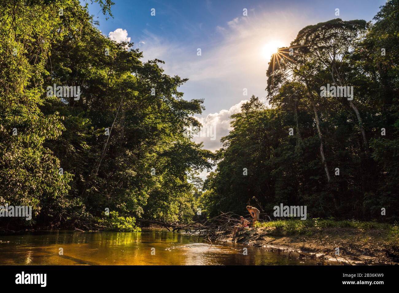 France, French Guiana, unexplored area on the border between the heart ...