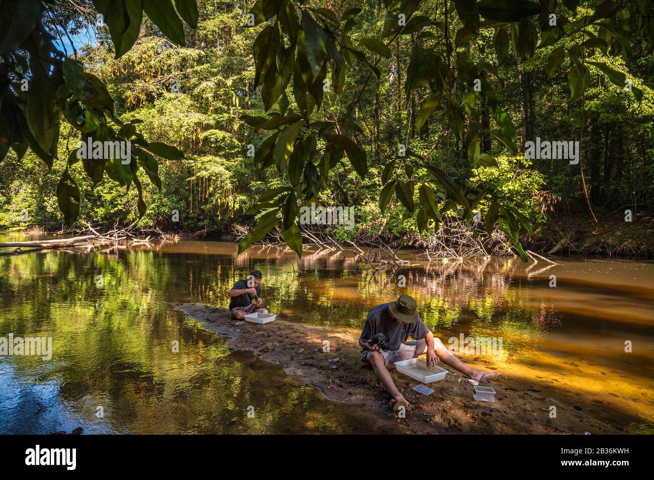 France, French Guiana, unexplored area on the border between the heart ...