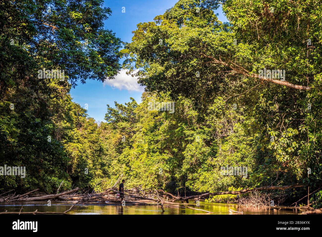 France, French Guiana, unexplored area on the border between the heart ...