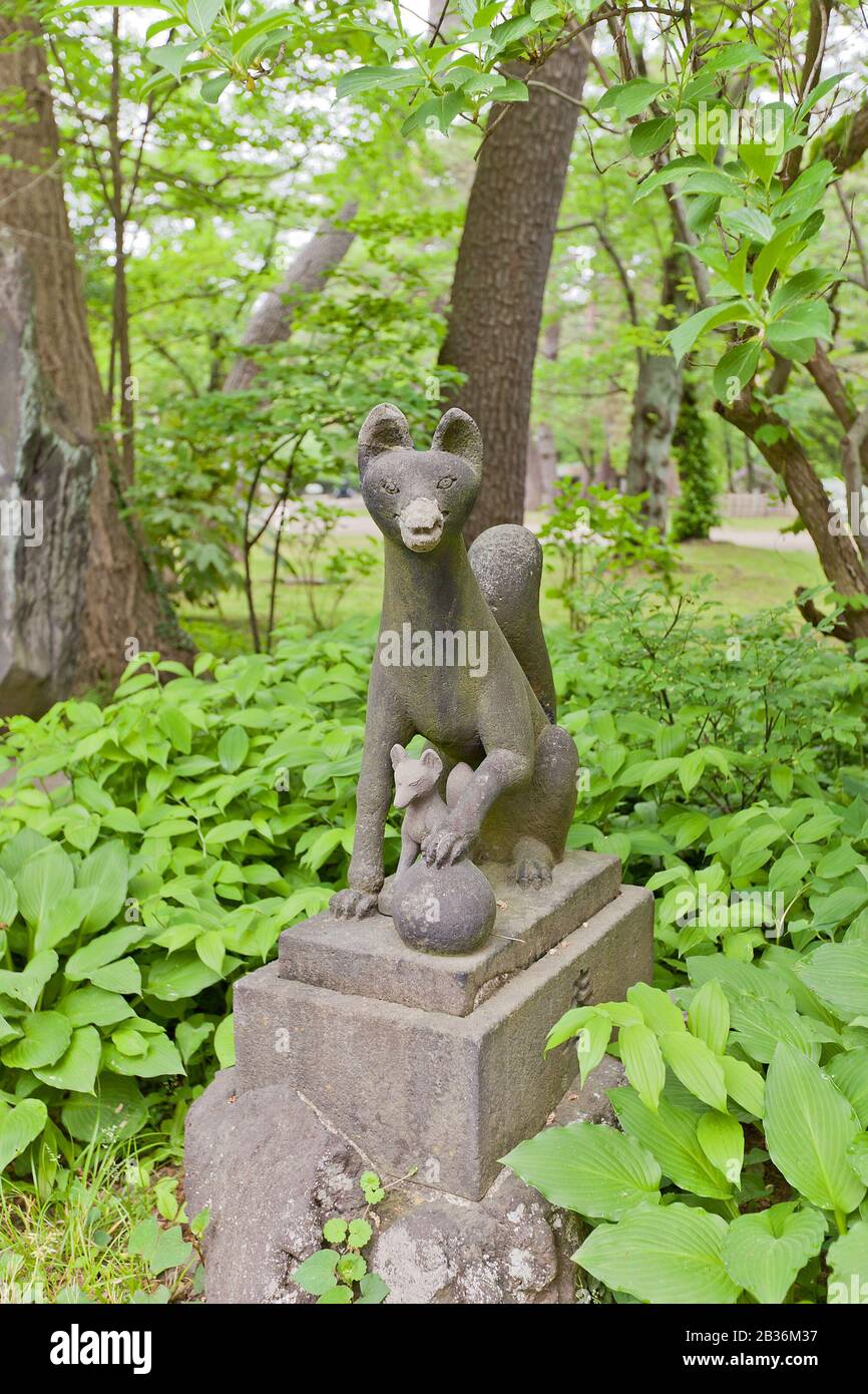 Statue of kitsune in Hachiman Shinto Shrine on the grounds of Kubota ...