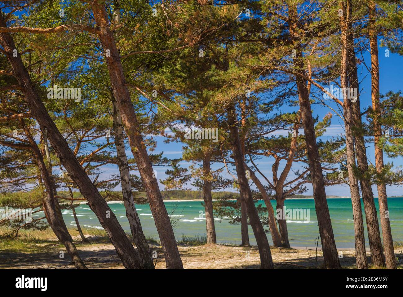Sweden, Faro Island, Fifang, view of Ajkesvik Bay Stock Photo - Alamy