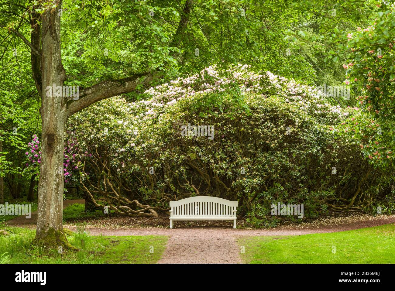 Sweden, Scania, Molle, Krapperups Slott castle, ancient home of the ...