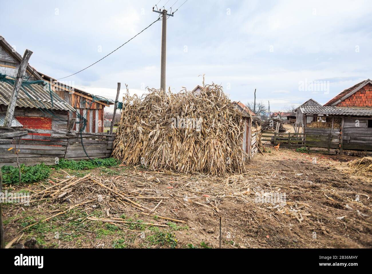 Rural agricultural farm, Farming scene Stock Photo - Alamy