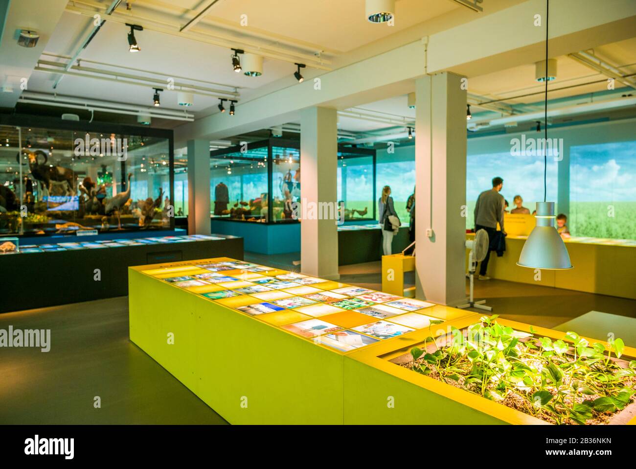 History museums sweden hi-res stock photography and images - Alamy