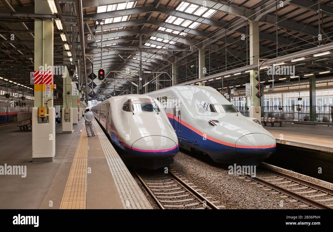Double-decked E4 and E2 type high-speed trains on Niigata station ...
