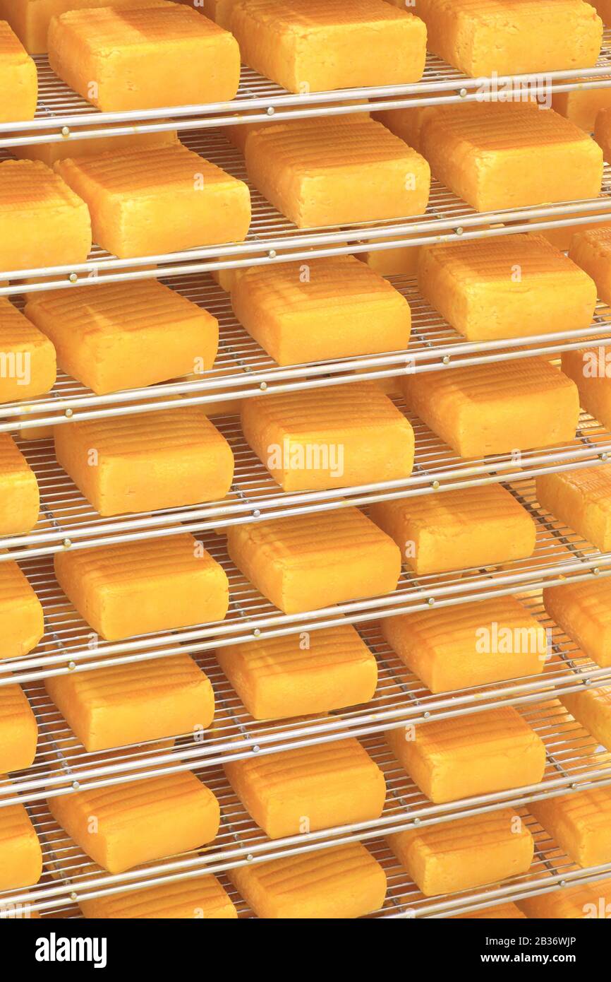 Beer sort hi-res stock photography and images - Alamy