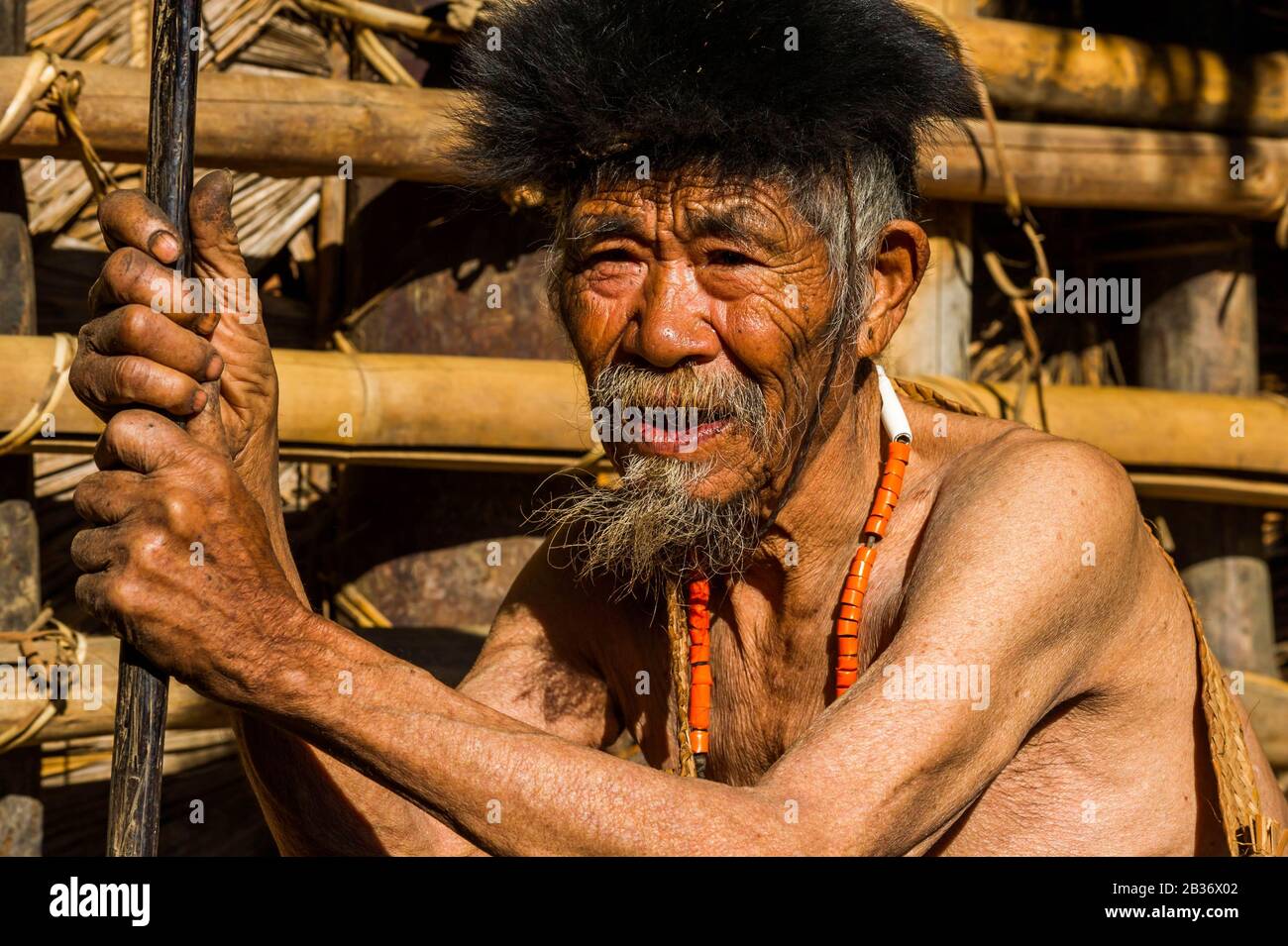 India, Arunachal Pradesh, Wakka, village of the Wancho naga tribe Stock ...