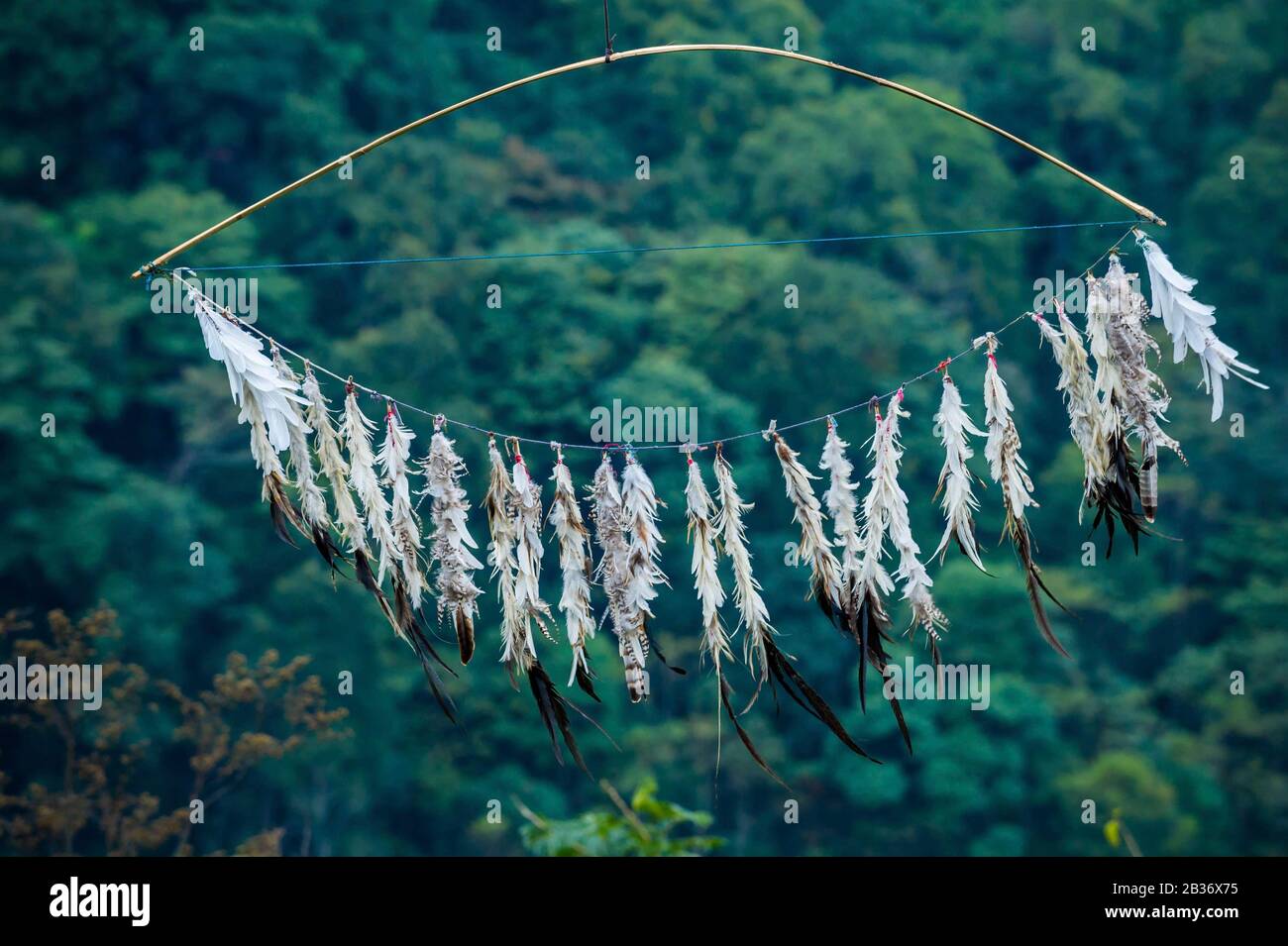 Angami hi-res stock photography and images - Alamy