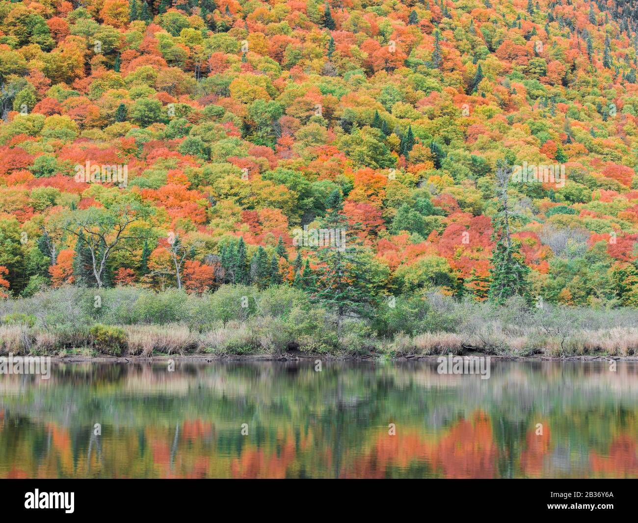 Jacques cartier national park and fall hi-res stock photography and ...