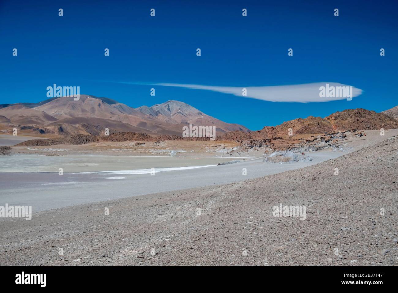 Argentine, Catamarca province, Puna desert, El Penon, Laguna Grande on ...