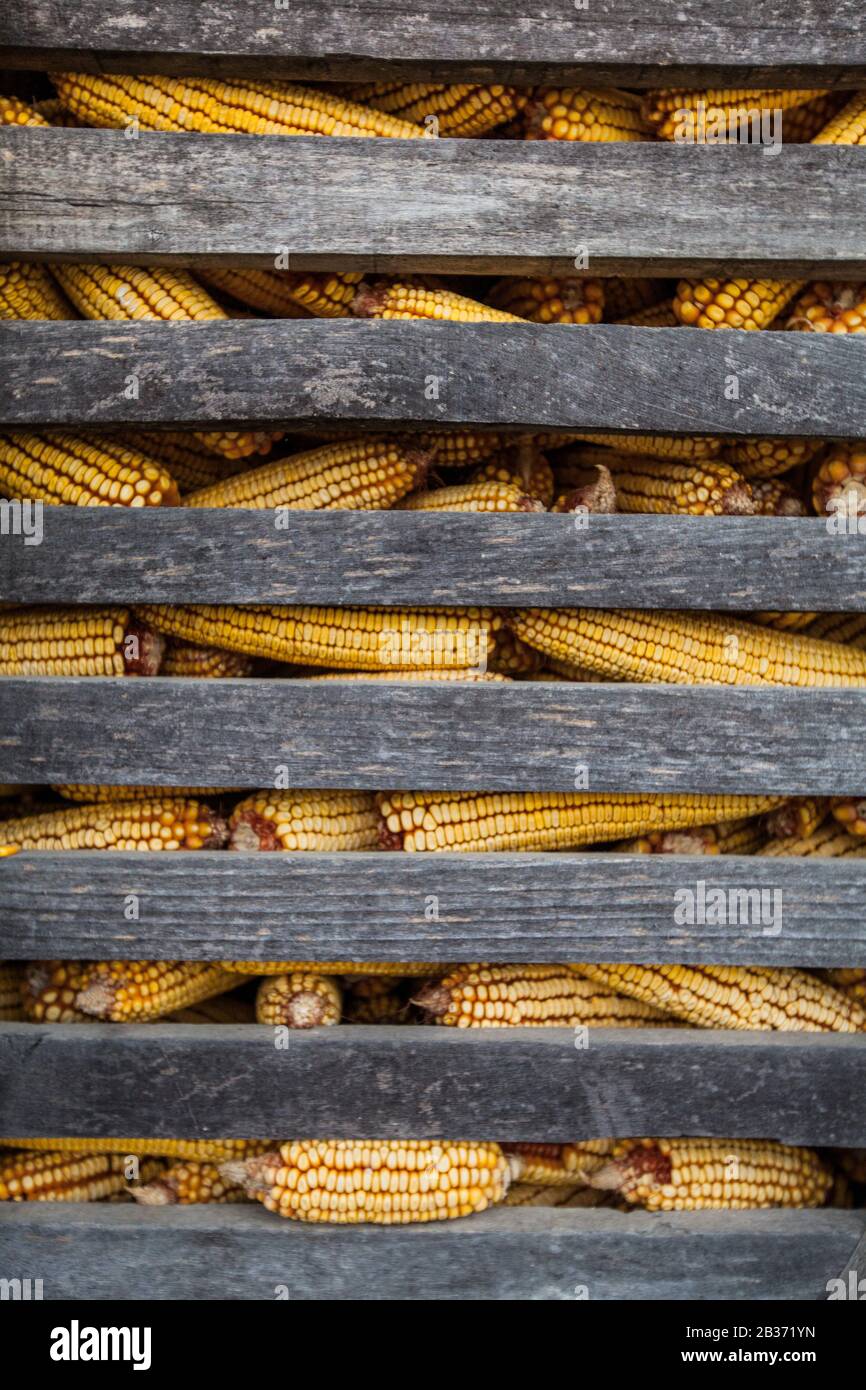 Rustic wooden corn barn hi-res stock photography and images - Alamy