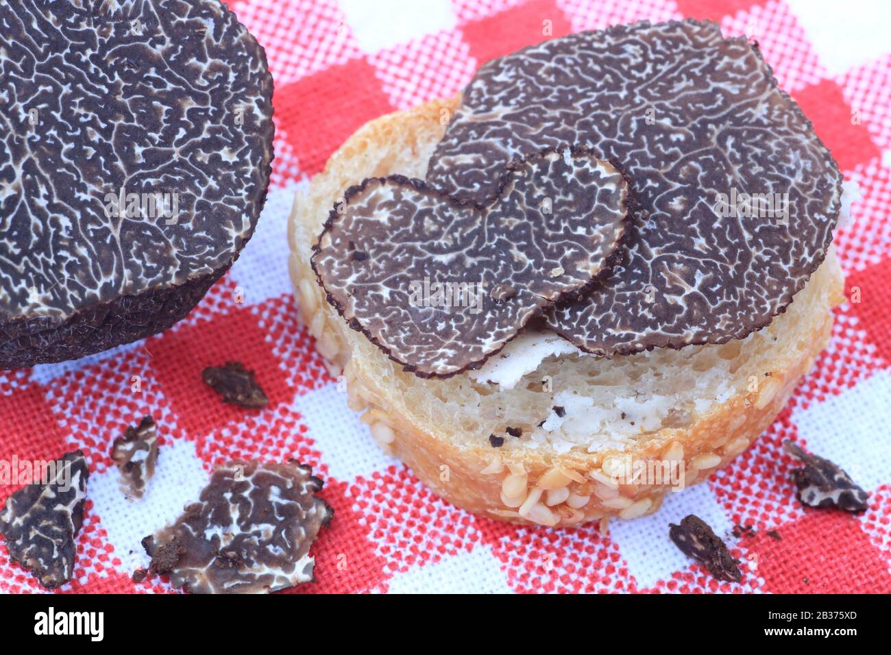 France, Correze, Causses, slices of black truffles (Tuber Melanosporum ...