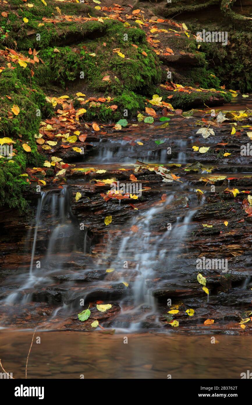 Monbachtal, Nordschwarzwald, im Herbst Stock Photo - Alamy