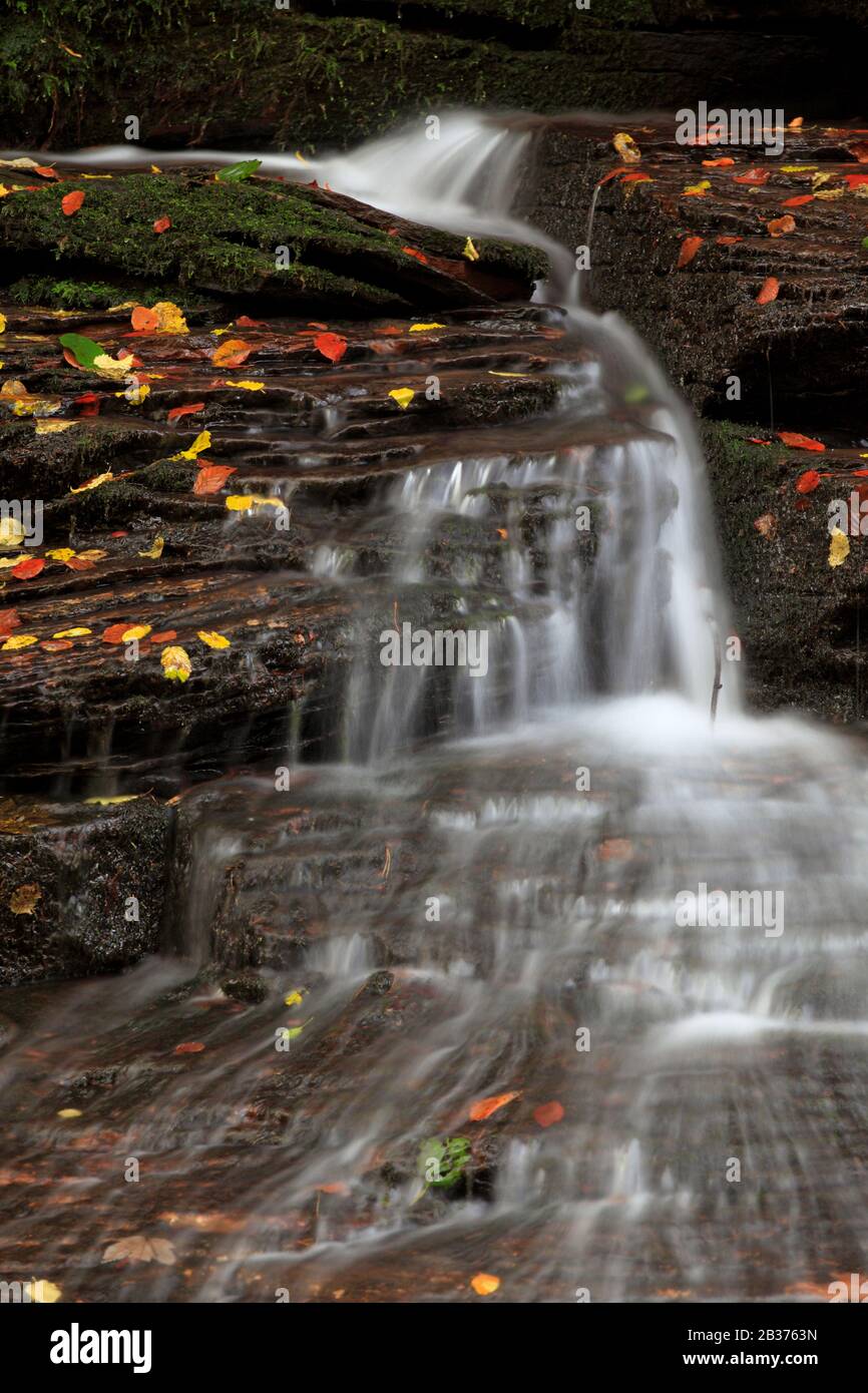 Monbachtal hi-res stock photography and images - Alamy