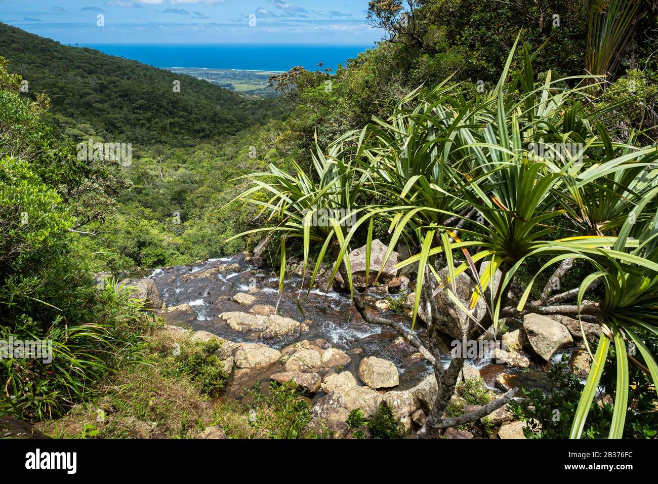 Mauritius, Savanne district, Black River Gorges National Park ...