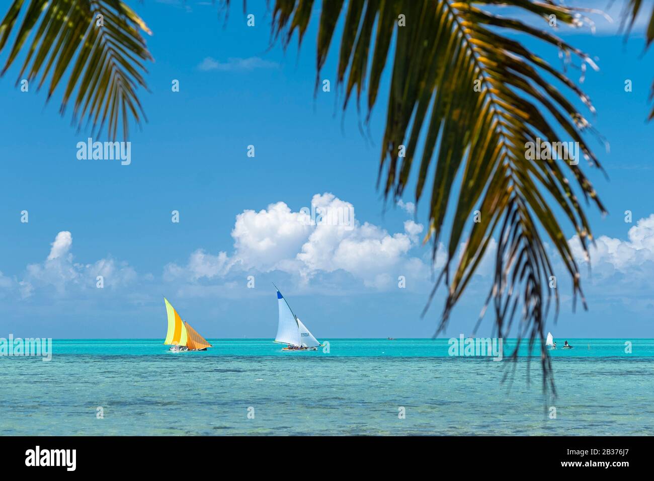 Mauritius, Grand Port district, Mahebourg, regatta of Mauritian ...