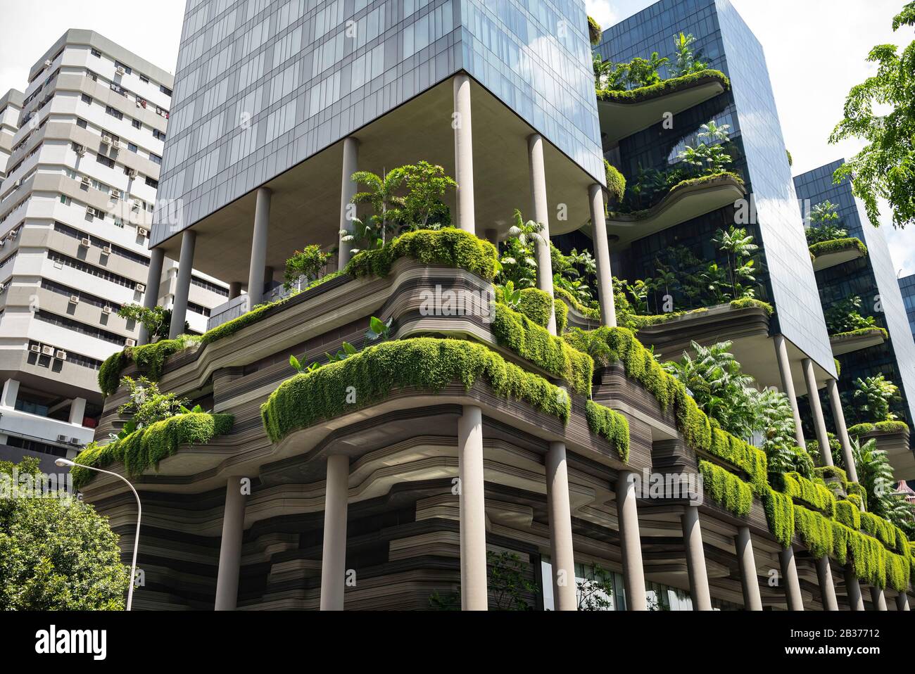 Singapore, Outram, Parkroyal Hotel Woha architects Stock Photo - Alamy Singapore, Outram, Parkroyal Hotel Woha architects Stock Photo - Alamy