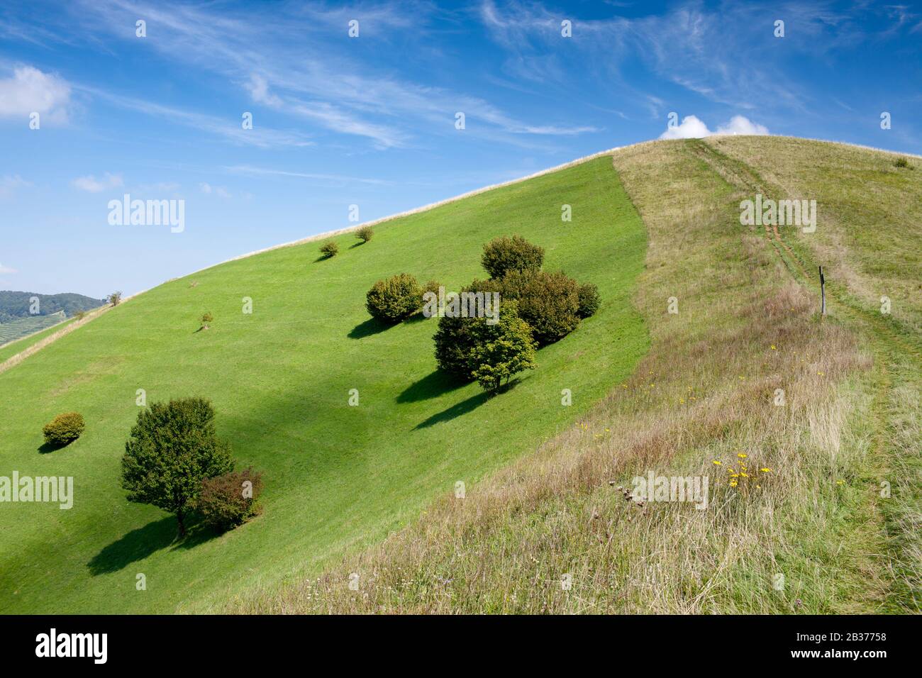 Badberg hi-res stock photography and images - Alamy