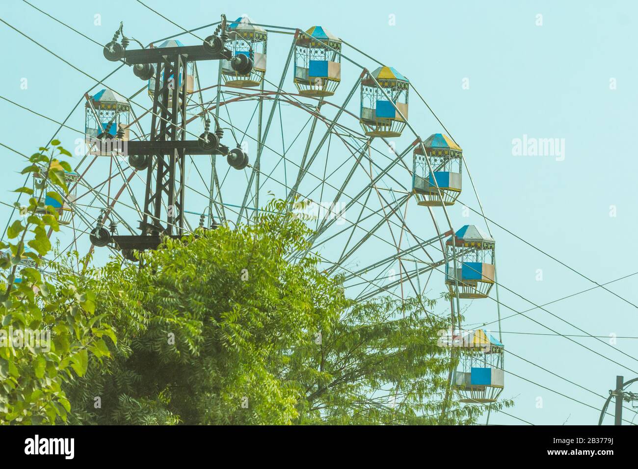 A ferris wheel appearing behind the tree and electric pole Stock Photo ...