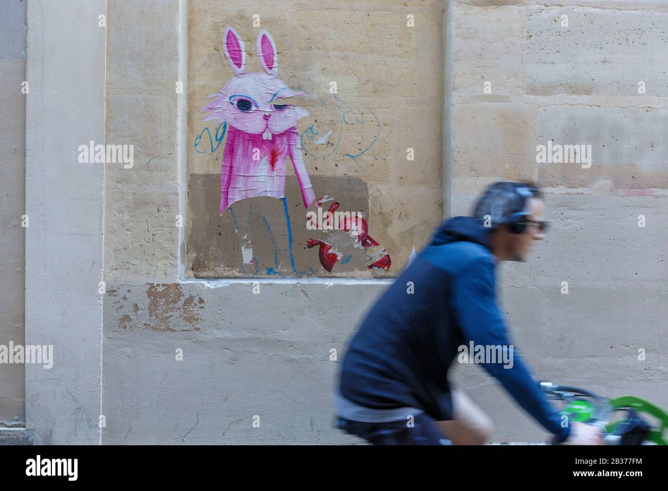 Rabbit on bicycle hi-res stock photography and images - Alamy