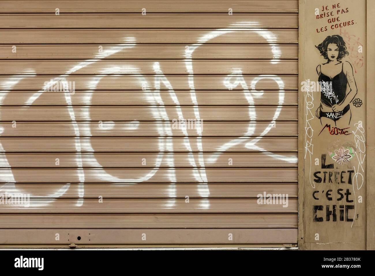 France, Paris, street art, writting and mural by street artist Miss.Tic ...