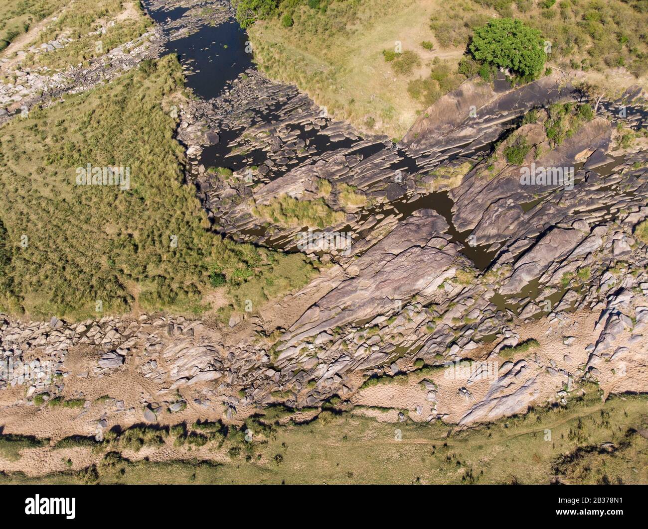 Talek hi-res stock photography and images - Alamy