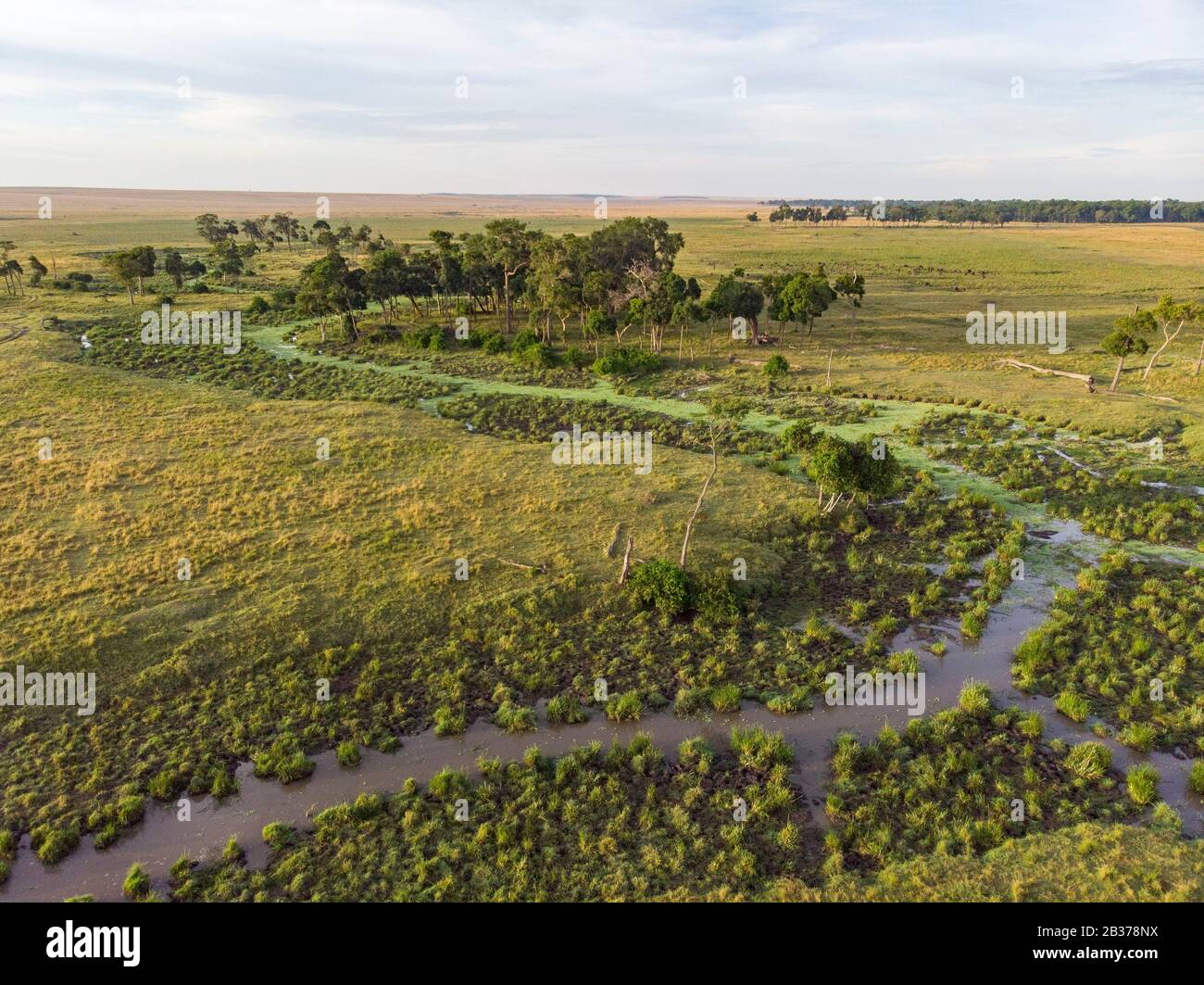 Musiara marsh hi-res stock photography and images - Alamy