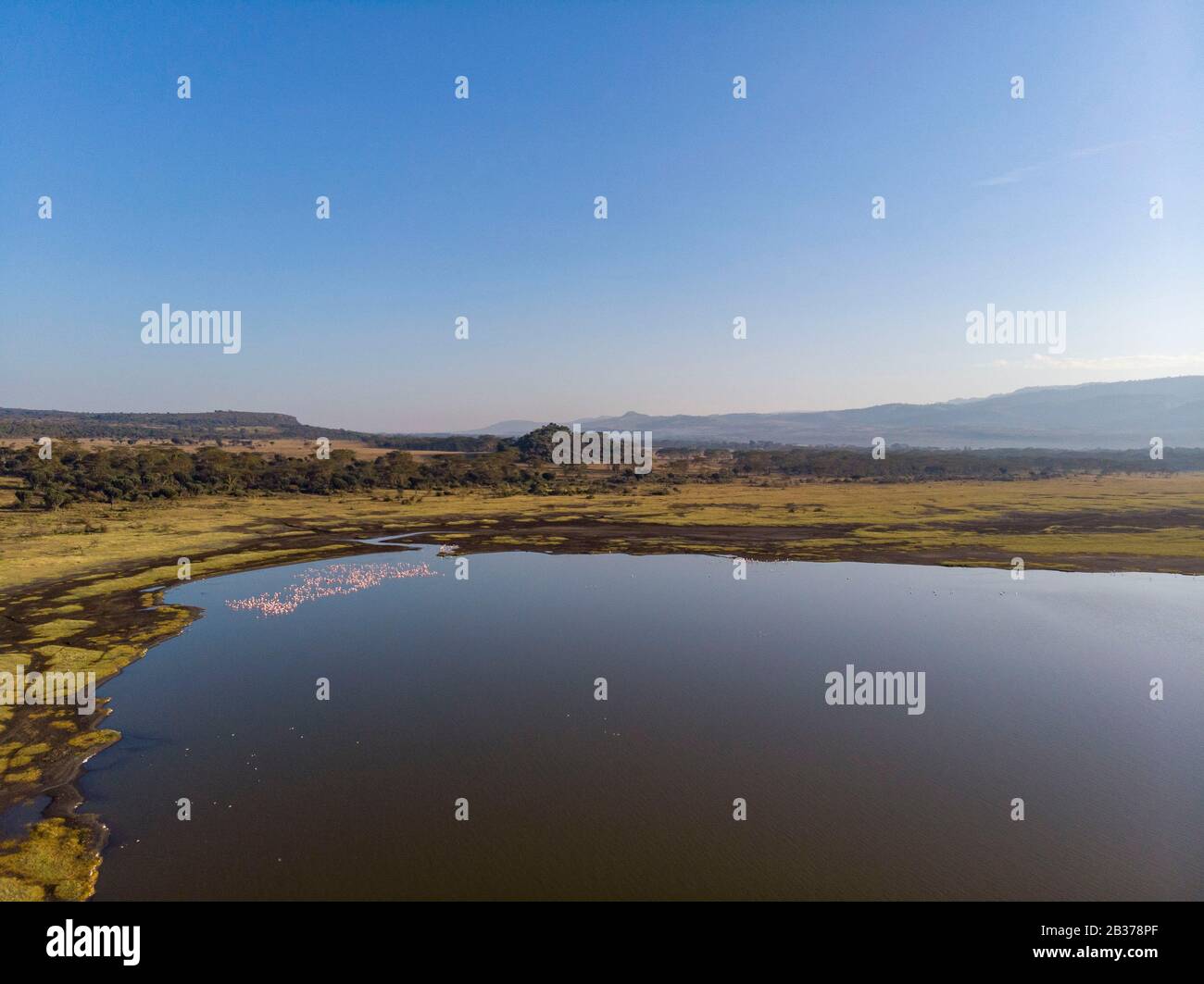 Kenya, Soysambu conservancy, Elmenteita lake(aerial view Stock Photo ...
