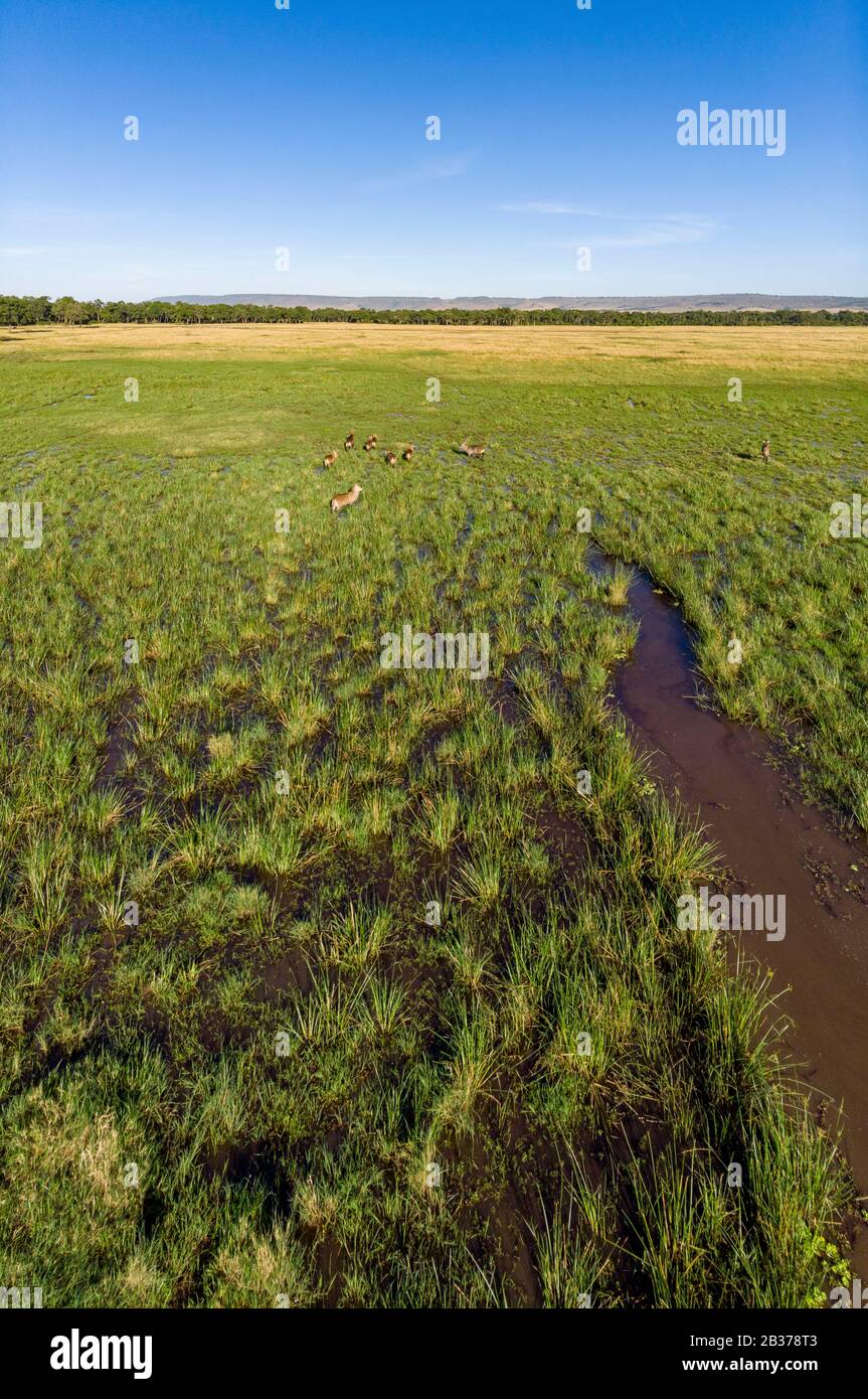 Musiara marsh hi-res stock photography and images - Alamy