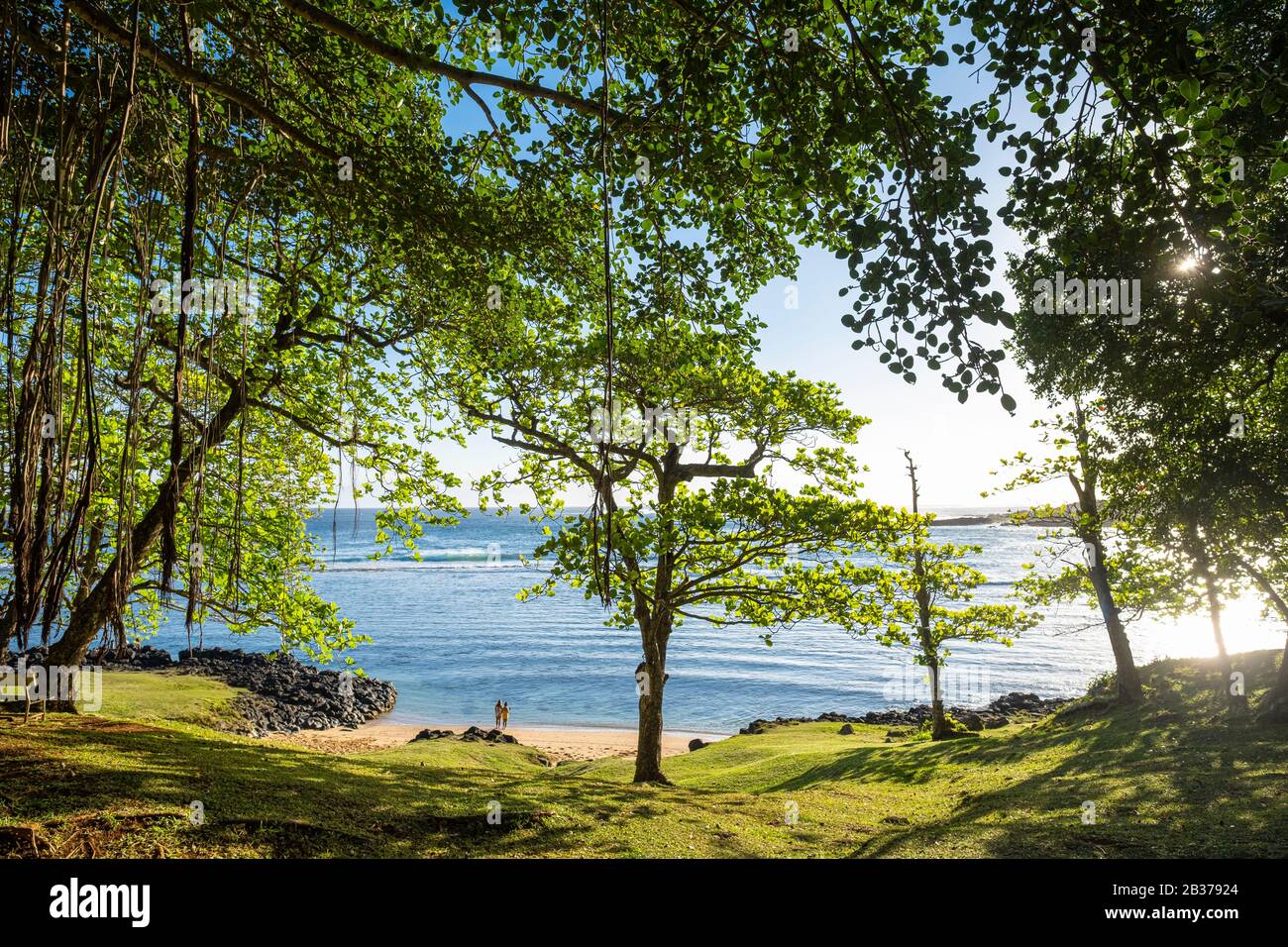 Mauritius, Savanne district, Souillac, Telfair garden Stock Photo - Alamy