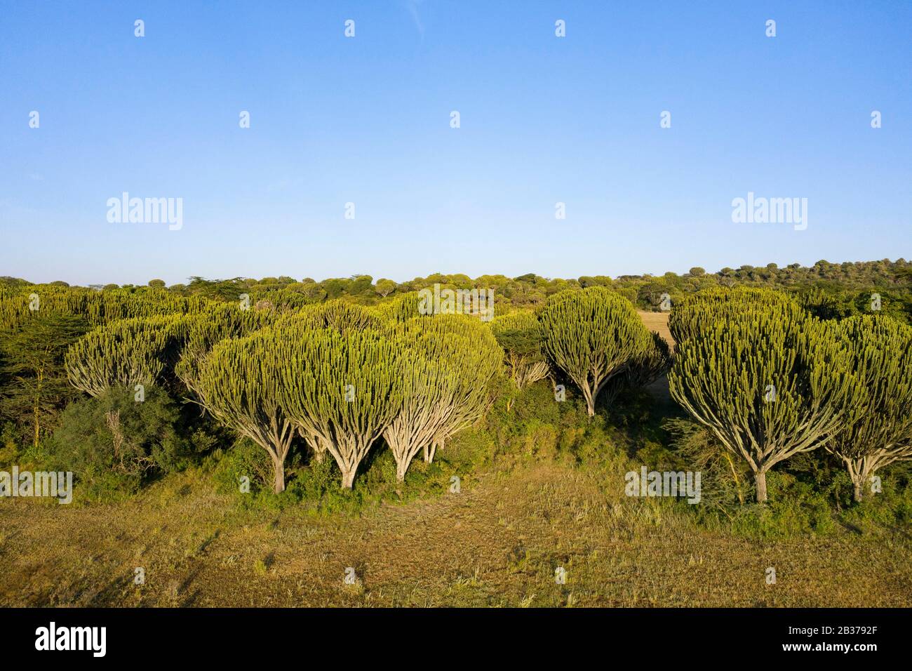 Soysambu conservancy hi-res stock photography and images - Alamy