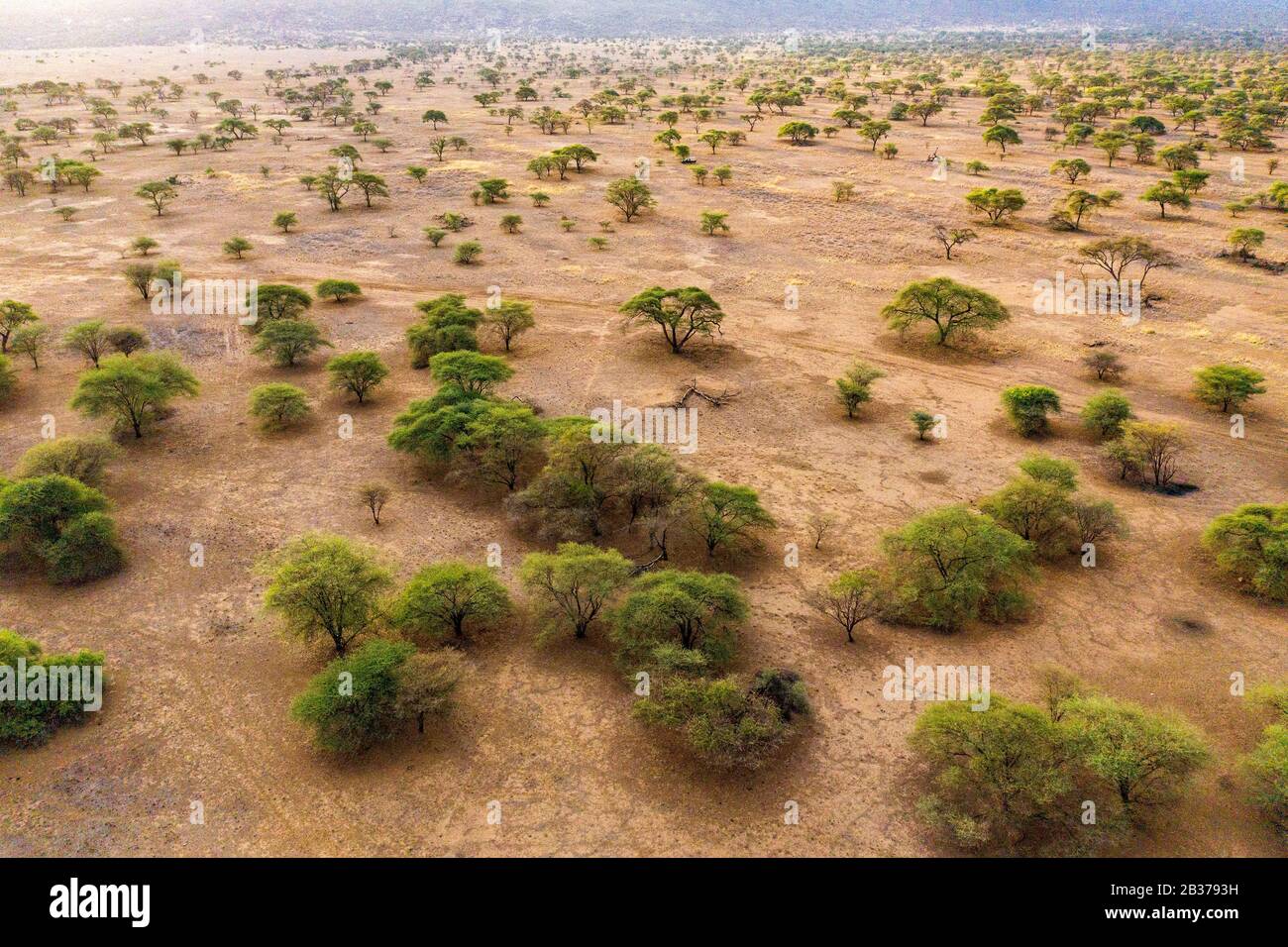 Kenya, landscape around the lake Magadi, Rift valley (aerial view Stock ...