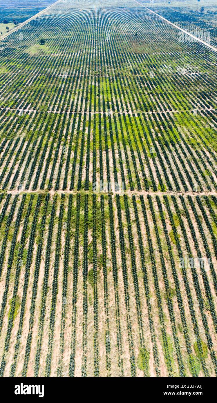 Crops africa aerial view hi-res stock photography and images - Alamy