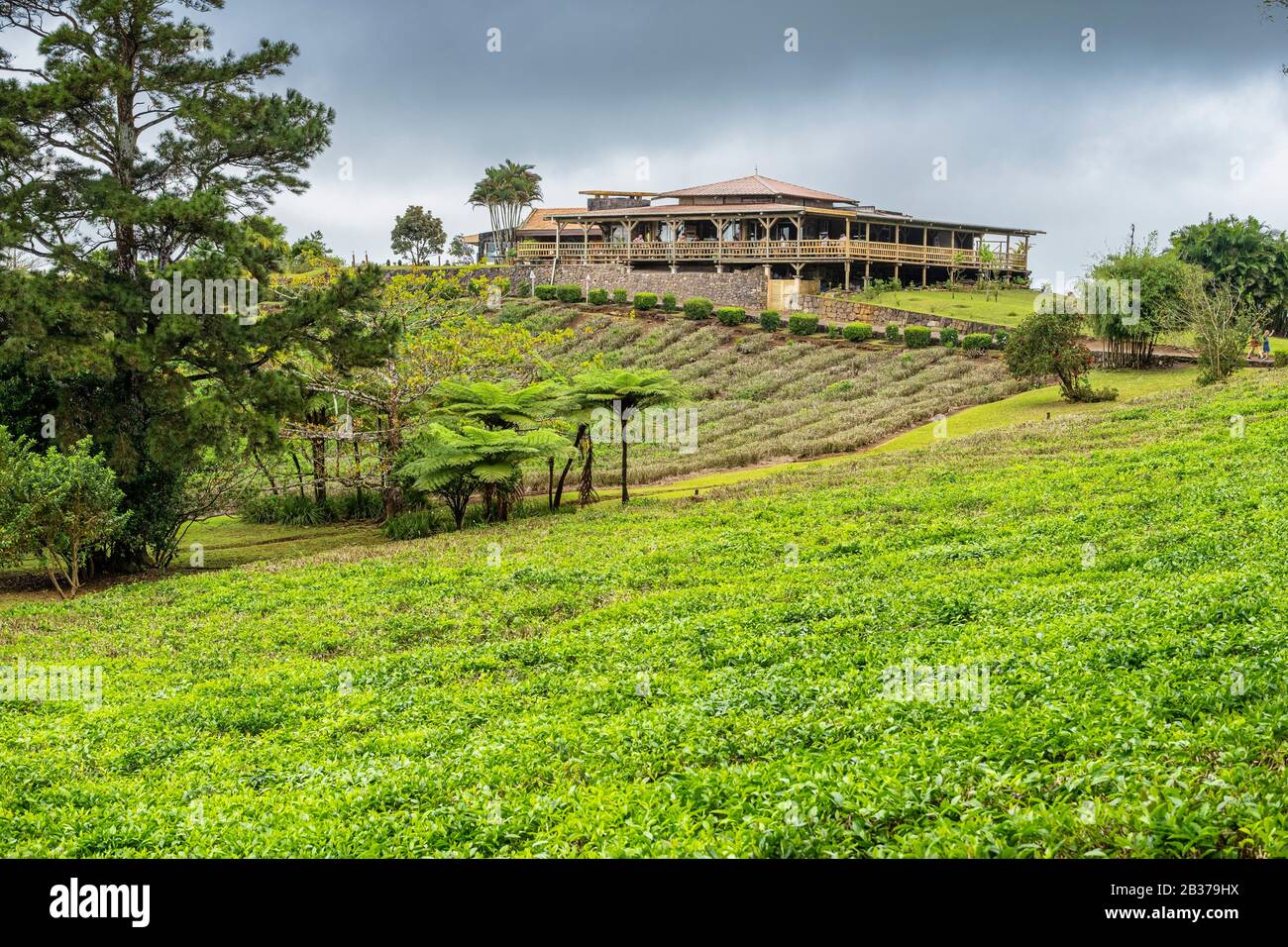 Mauritius, Savanne district, Grand Bois, Domaine de Bois Chéri, the ...