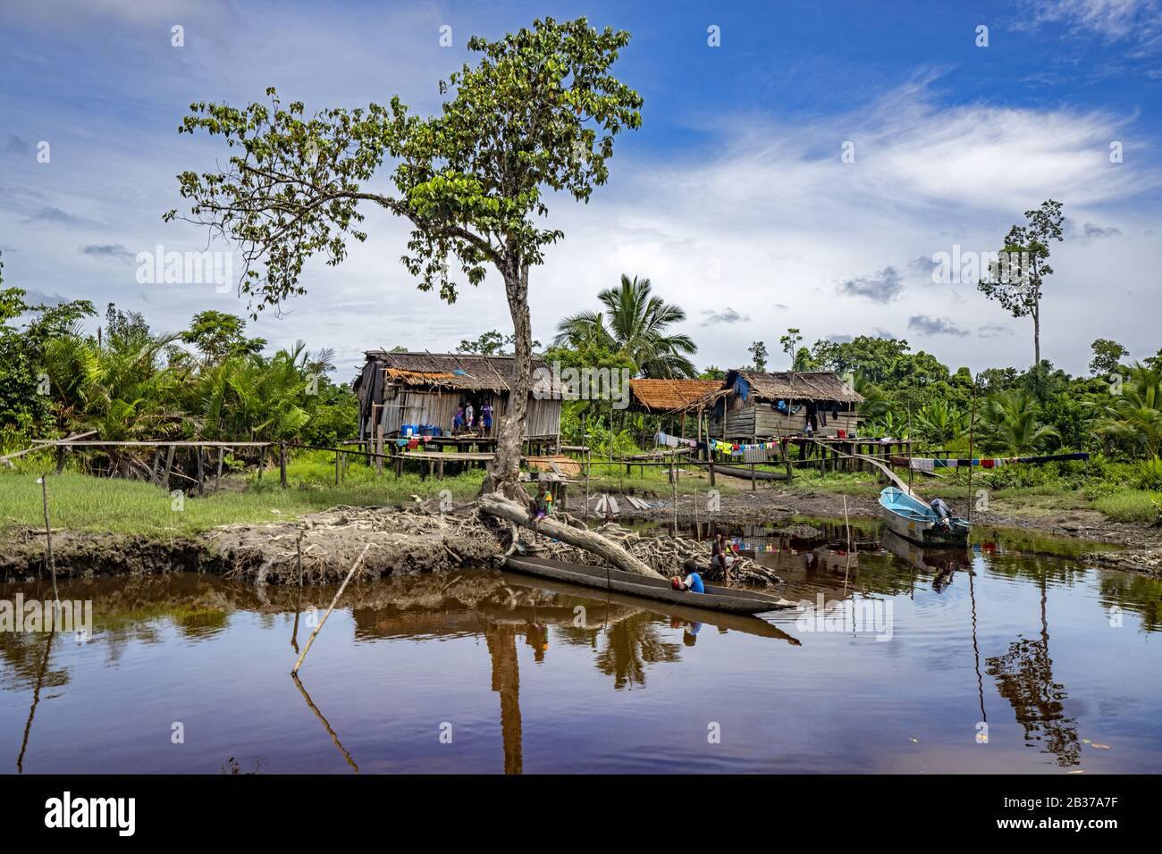 Asmat hi-res stock photography and images - Alamy