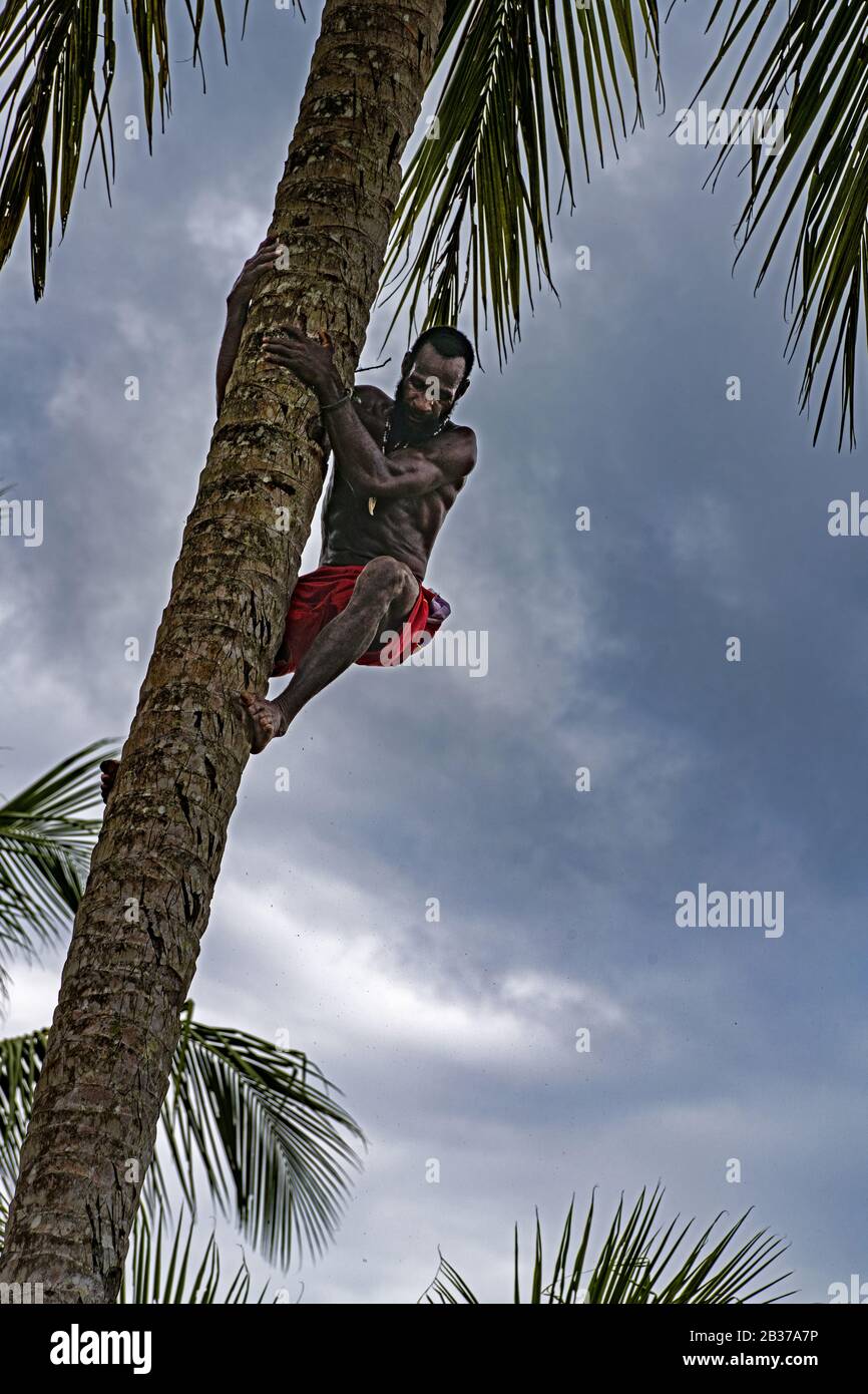 Asmat tribe hi-res stock photography and images - Alamy