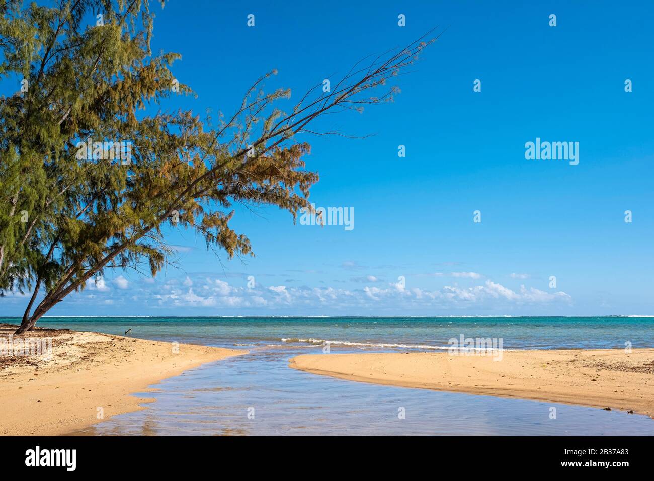 Mauritius, Savanne district, Bel Ombre beach Stock Photo - Alamy