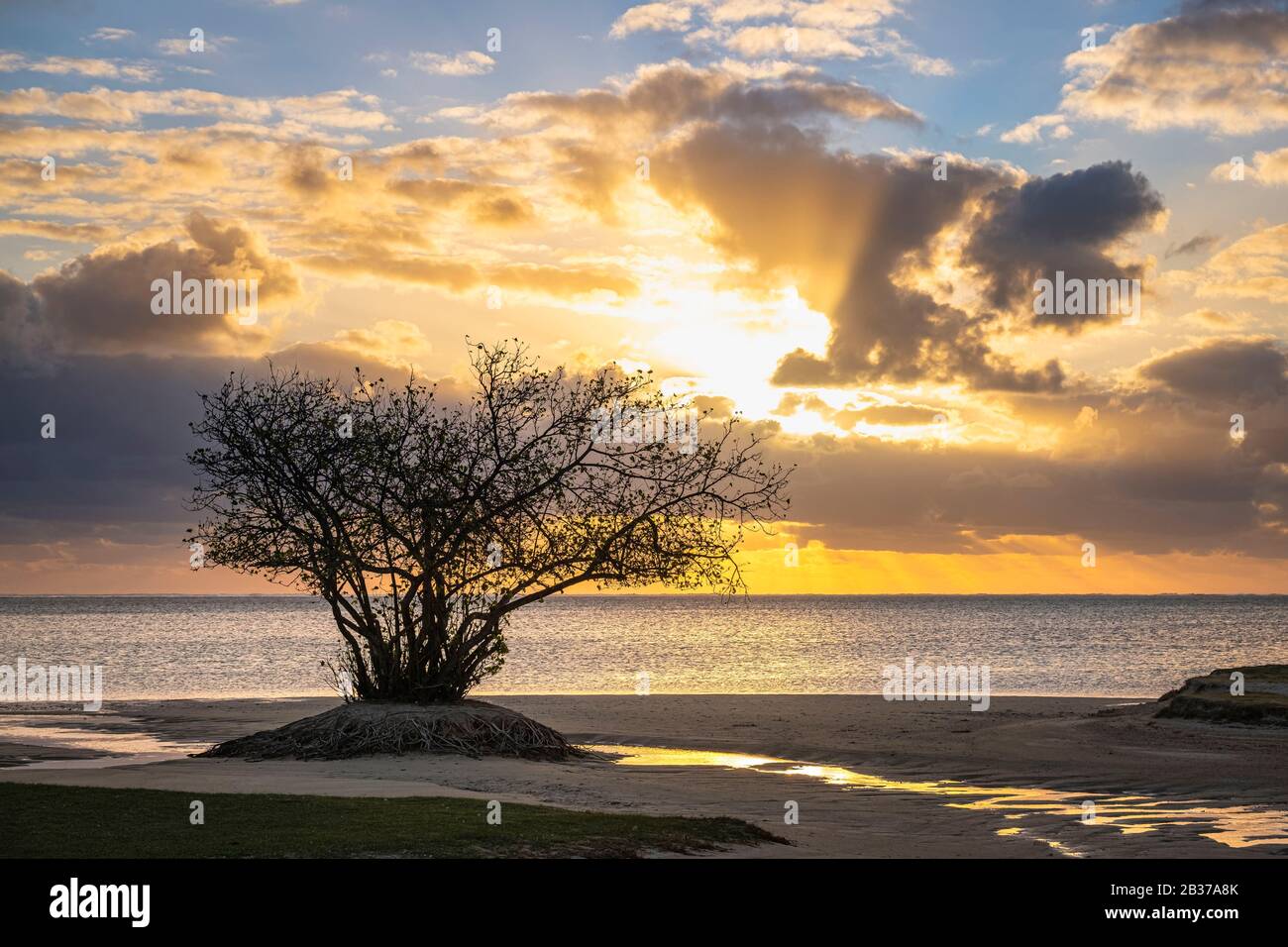 Mauritius, Riviere Noire district, Prairie beach Stock Photo - Alamy