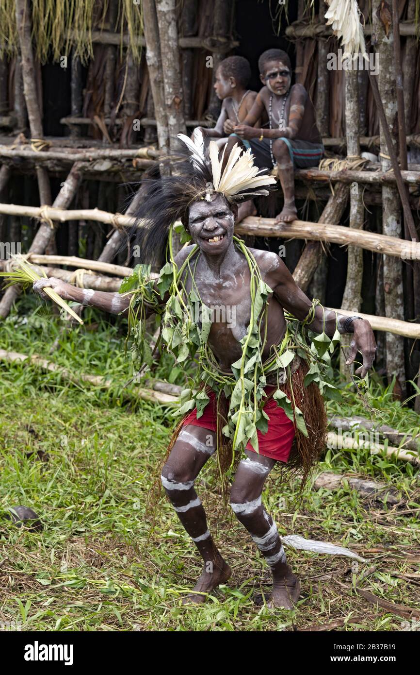 Indonesia, Papua, Asmat district, Per village, pole ceremony Stock ...